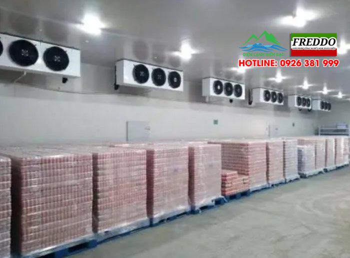 Đặc điểm của kho đông lạnh